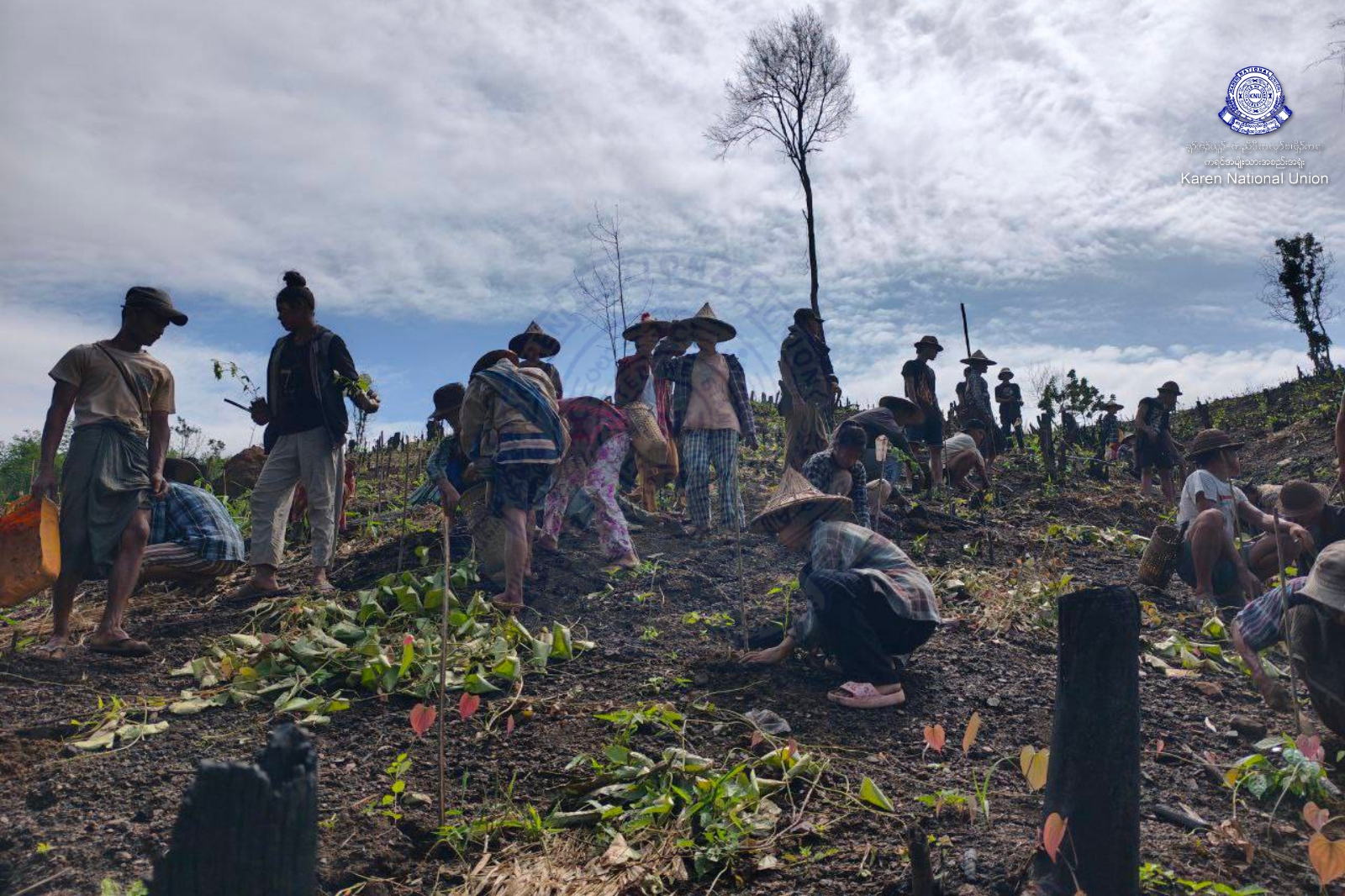 In Kyaikhto Township, planted long‑lived trees in commemoration of Tree ...